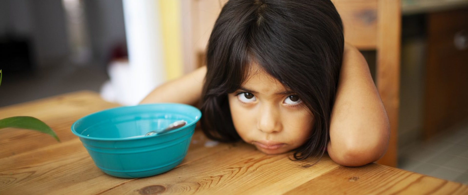 Breaking the Cycle of Poverty: The Impact on Education in East Tennessee